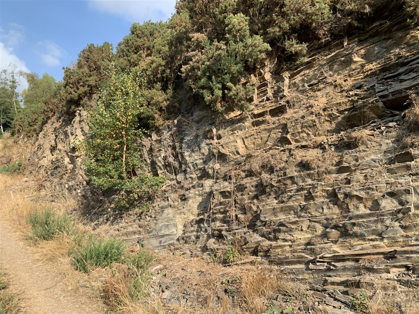 Cyffylliog, Ruthin - Clough & Co